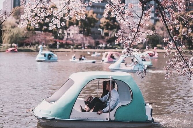 Tokyo Private Trip With English Speaking Driver - Pricing and Inclusions