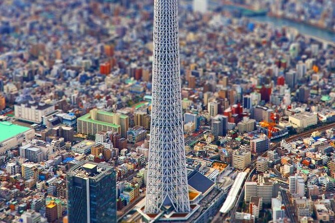 Tokyo Private Trip With English Speaking Driver - Customer Feedback