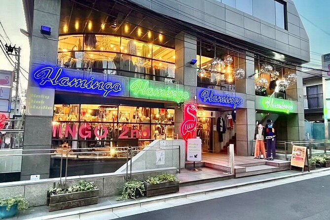 Tokyo Private Vintage Shopping Tour in a Town of Youth Culture - Inclusions and Accessibility