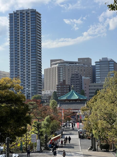 TOKYO Private Visit Guide Speaking French - Tour Customization and Activities