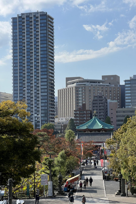 TOKYO Private Visit Guide Speaking French - Itinerary Flexibility