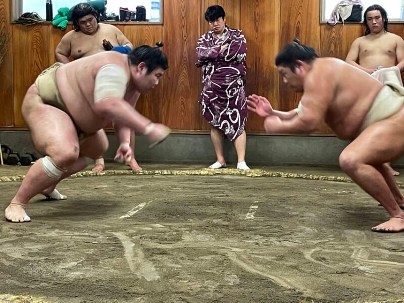 Tokyo: Real Sumo Morning Practice Tour at Yokozuna Stable - Key Points