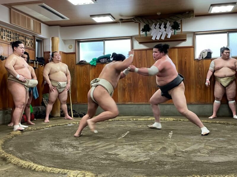 Tokyo: Real Sumo Morning Practice Tour at Yokozuna Stable - Participant Guidelines and Restrictions