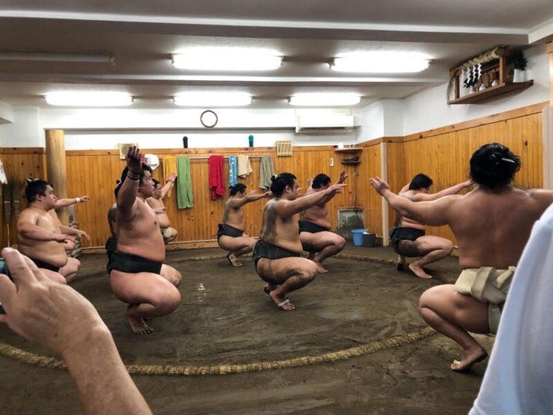 Tokyo: Real Sumo Morning Practice Tour at Yokozuna Stable - What to Expect
