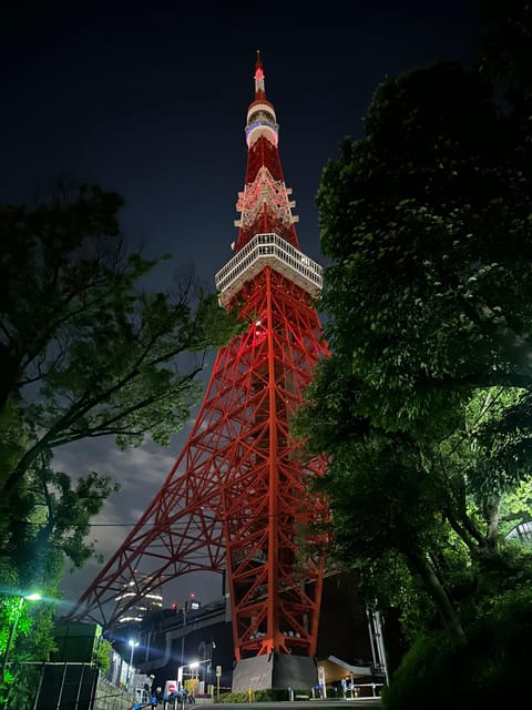 Tokyo: Ride the Skyline From the Fast and the Furious - Recommendations for Participants