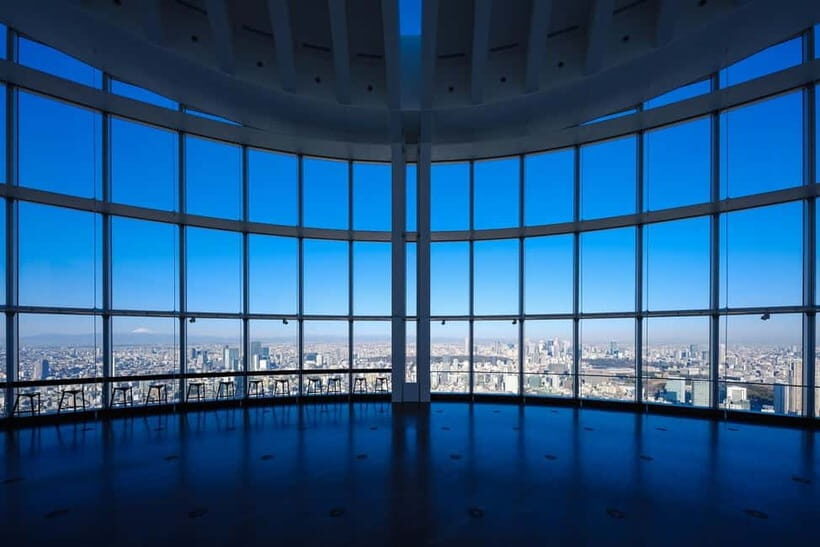 Tokyo: Roppongi Hills Observatory Ticket - A Practical Overview of the Roppongi Hills Observatory