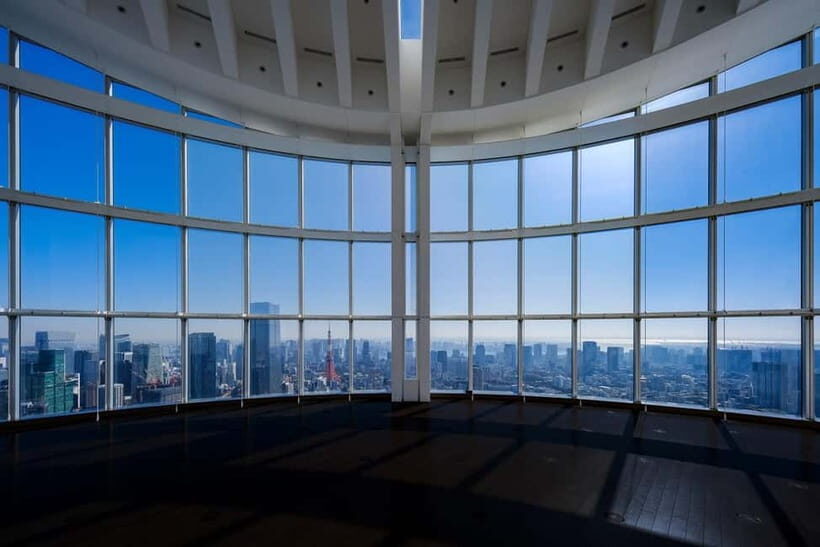 Tokyo: Roppongi Hills Observatory Ticket - Navigating the Experience: What to Expect