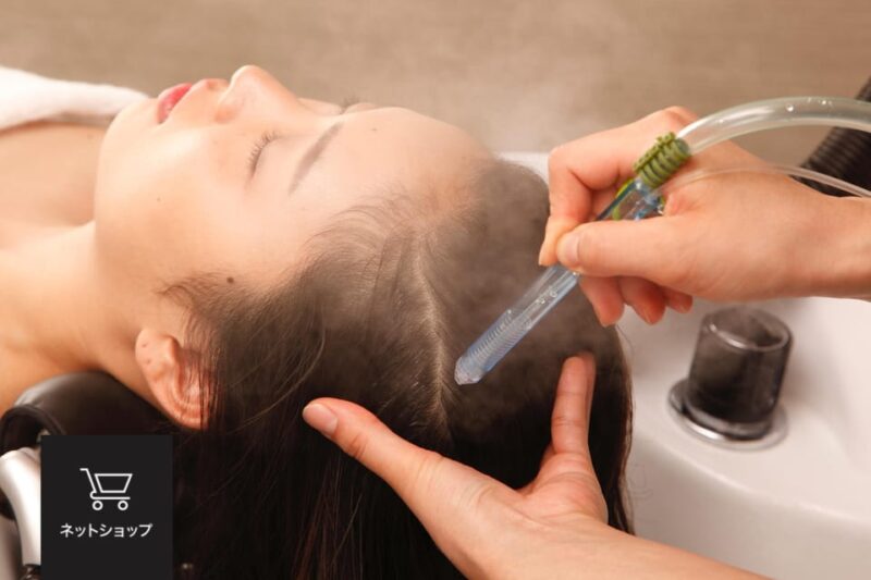 Tokyo: Scalp Care Treatment at a Head Spa - Key Points