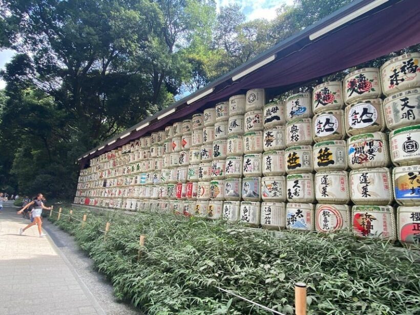 Tokyo Shibuya & Harajuku Walking tour With A Guide - Frequently Asked Questions