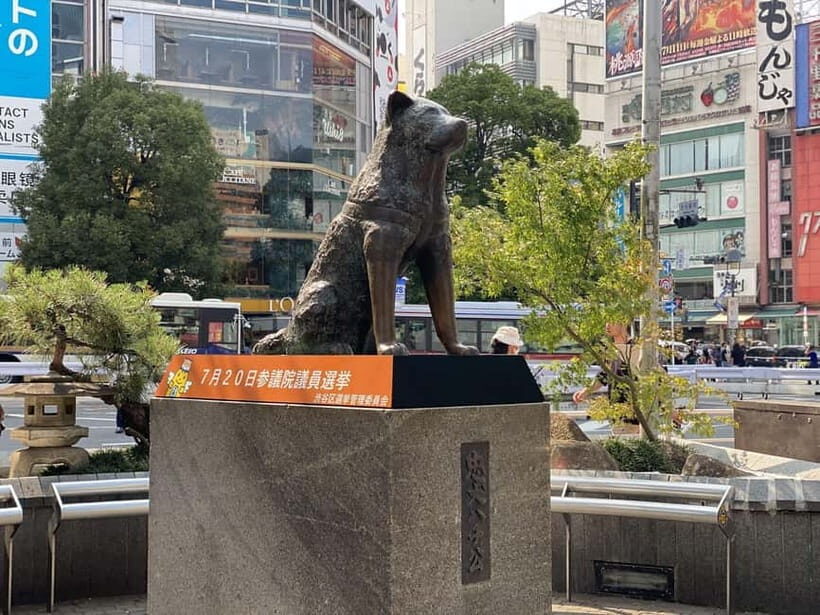 Tokyo: Shibuya Tour with Local Guide in Spanish and Hidden Corners - An In-Depth Look at the Shibuya Tour Experience