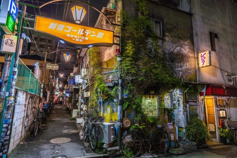 Tokyo: Shinjuku Golden Gai Bar Hopping That Only Locals Know - Choosing the Perfect Bars for Your Unique Preferences