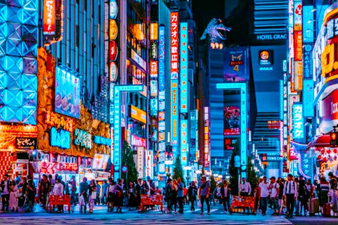 Tokyo: Shinjuku Night Walking Tour & Japan's Crazy Culture - Accessibility and Participation