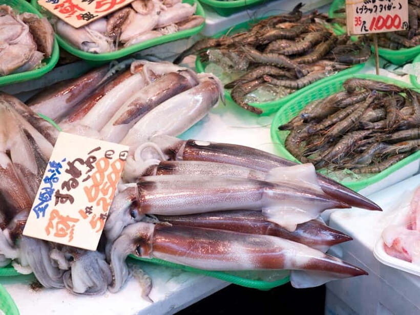 Tokyo Shopping Street Private Tour Government Licensed Guide - What You Can Expect from the Tour