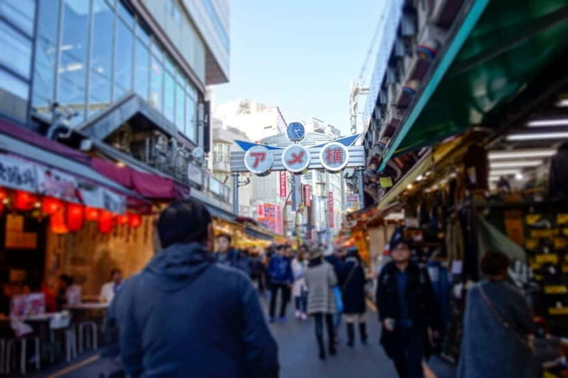 Tokyo Shopping Street Private Tour Government Licensed Guide - Practical Considerations