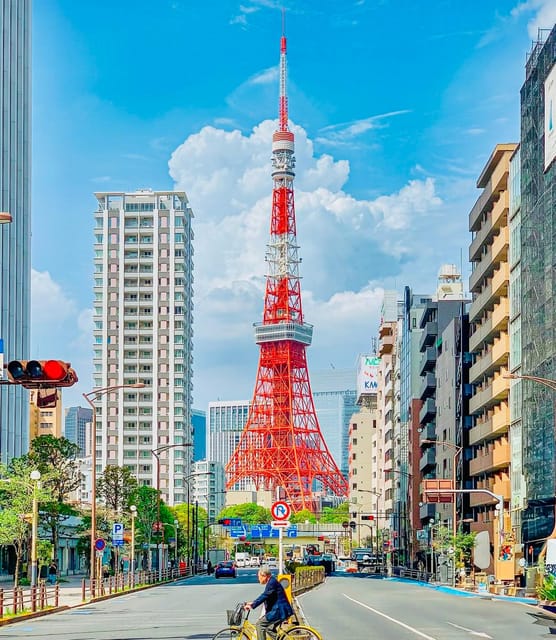 Tokyo: Sightseeing Tour With Private Luxury Vehicle - Key Points
