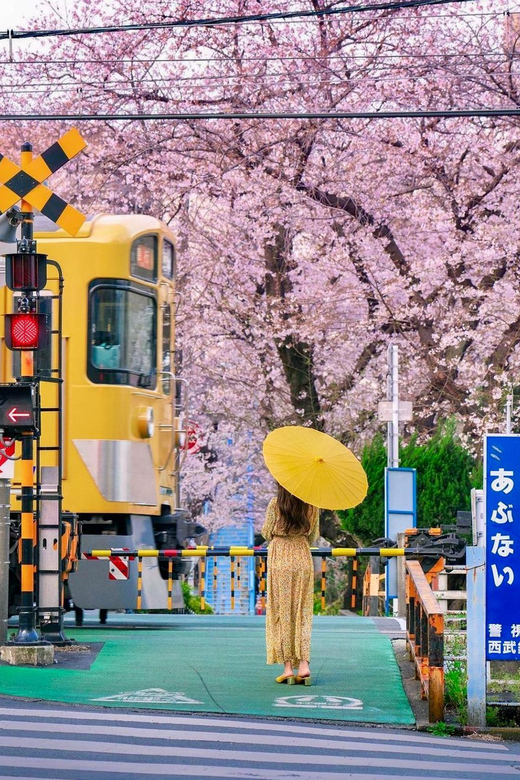 Tokyo: Sightseeing Tour With Private Luxury Vehicle - Tour Inclusions