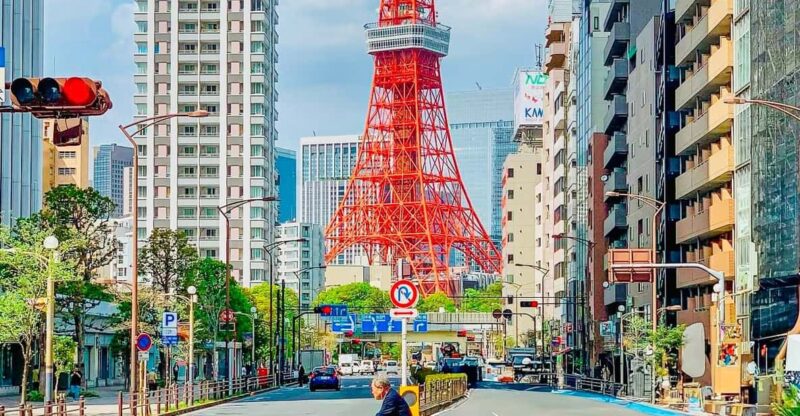 Tokyo: Sightseeing Tour With Private Luxury Vehicle - Important Information and Tips