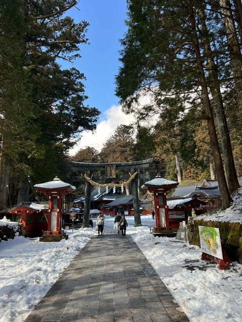 Tokyo: Snow Monkey Park and Zenkoji Temple Private Day Tour - Experience and Cultural Insights