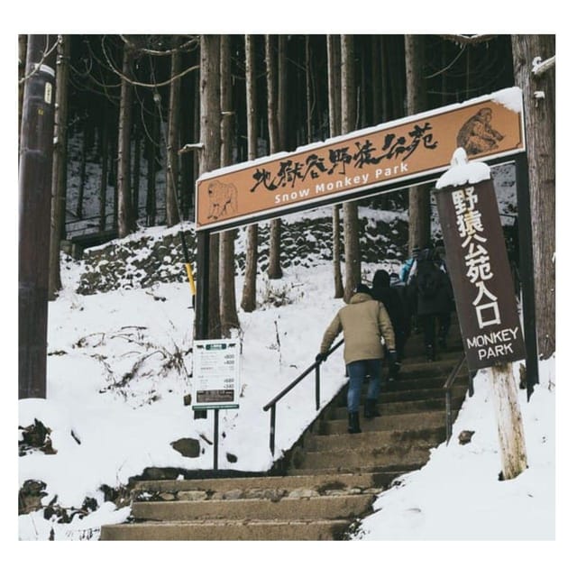 Tokyo: Snow Monkey Private Tour In Prado Low Price Guarantee - Itinerary Highlights