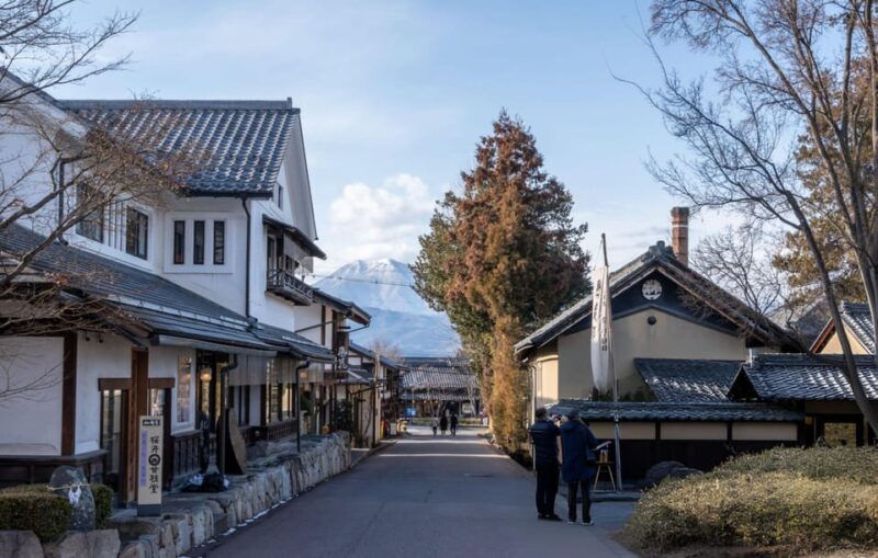 Tokyo: Snow Monkeys & Zenkoji Temple Unforgettable Day Tour - Itinerary Highlights