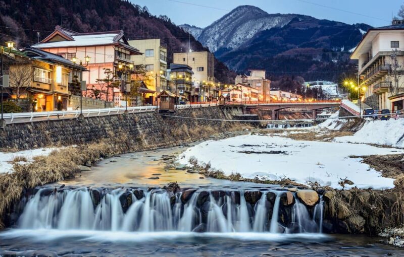 Tokyo: Snow Monkeys & Zenkoji Temple Unforgettable Day Tour - What to Bring and Restrictions