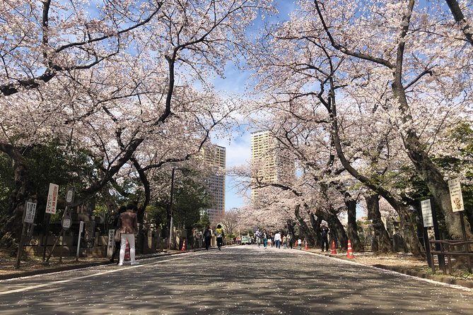 Tokyo Spring Daytime (Cherry Blossom) Food Tour - Culinary Delights on the Tour
