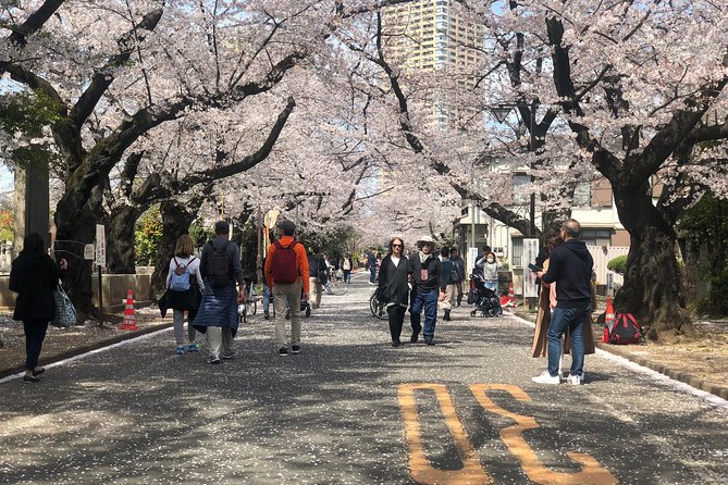 Tokyo Spring Daytime (Cherry Blossom) Food Tour - Booking and Cancellation Policies