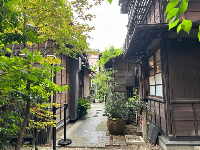 Tokyo : Stroll in the Old traditional town~Yanaka & Nezu - What We Most Appreciated
