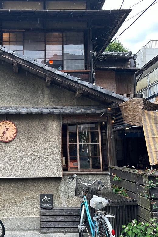Tokyo : Stroll in the Old traditional town~Yanaka & Nezu - Final Thoughts: Is It Worth It?