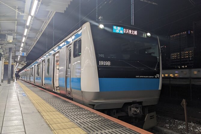 Tokyo Subway Ticket - Accessibility Features