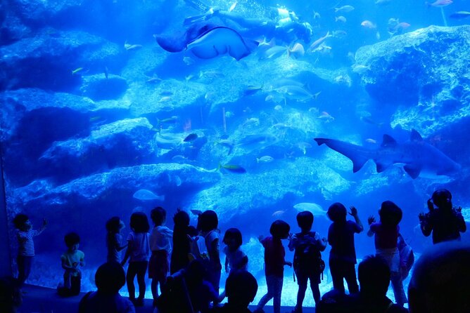 Tokyo Sumida Aquarium E-Ticket With Optional Tokyo Metro Pass - Combining With the Tokyo Metro Pass