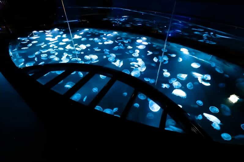 Tokyo: Sumida Aquarium Entry Ticket - FAQ: Your Questions Answered