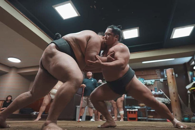 Tokyo: Sumo Keiko Training Tour with Audio Guide & Photo - Key Points