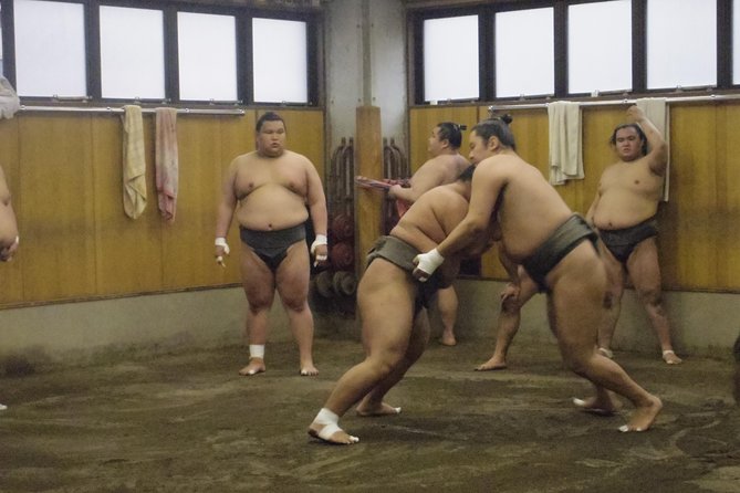 Tokyo Sumo Morning Practice Tour at Stable - Accessibility and Guidelines