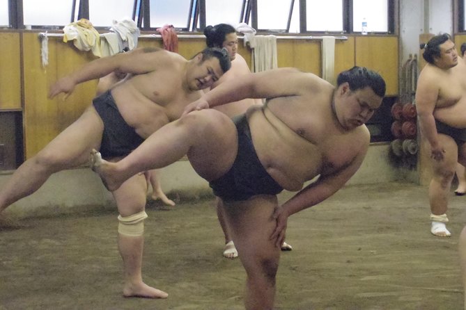 Tokyo Sumo Morning Practice Tour at Stable - Participant Feedback