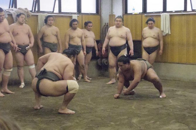 Tokyo Sumo Morning Practice Tour at Stable - Preparing for the Experience