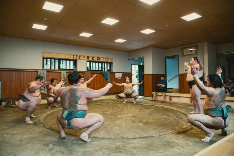 Tokyo: Sumo Morning Practice Tour at Sumida City - Guidelines and Restrictions