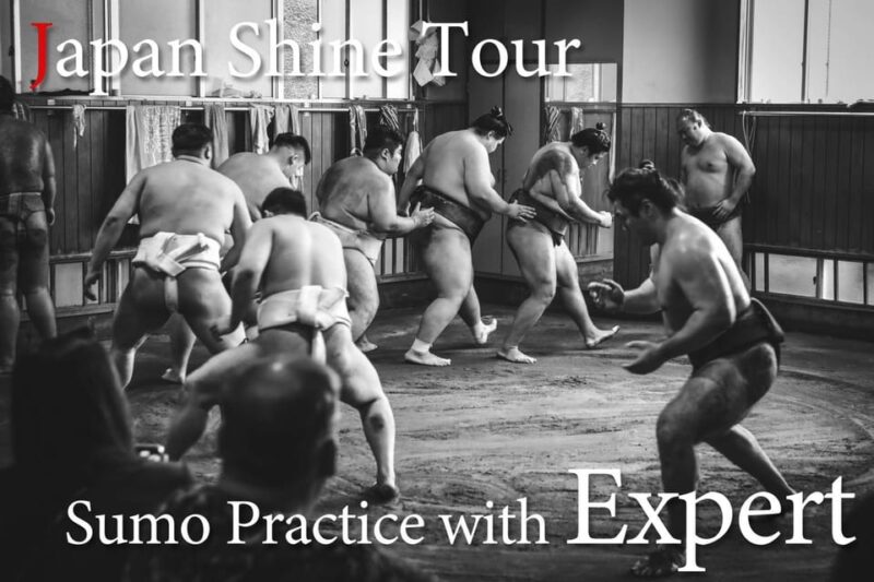 Tokyo: Sumo Morning Practice Tour With Expert Reporter - Key Points