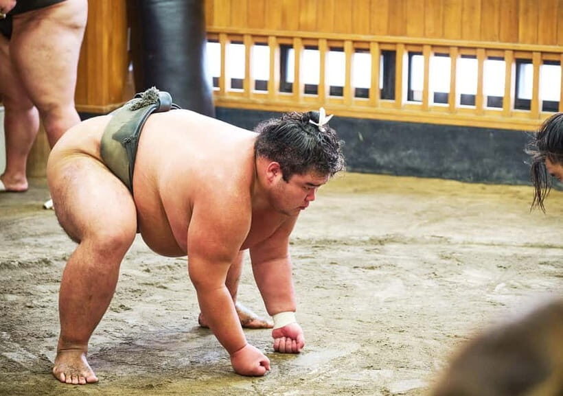 Tokyo: Sumo Morning Practice Viewing Tour at a Real Stable - An In-Depth Look at the Tour
