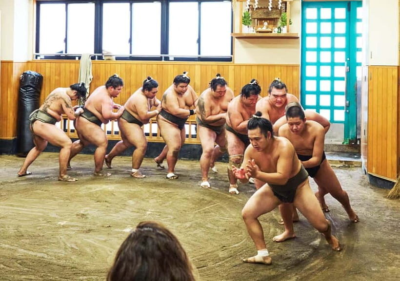 Tokyo: Sumo Morning Practice Viewing Tour at a Real Stable - Practical Details: What to Expect and What to Keep in Mind