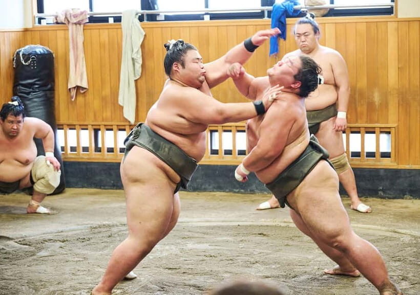Tokyo: Sumo Morning Practice Viewing Tour at a Real Stable - Who Is This Tour Best For?