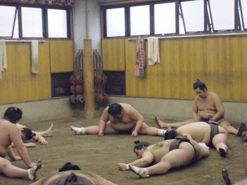 Tokyo: Sumo Morning Practice Viewing Tour - Experience Highlights