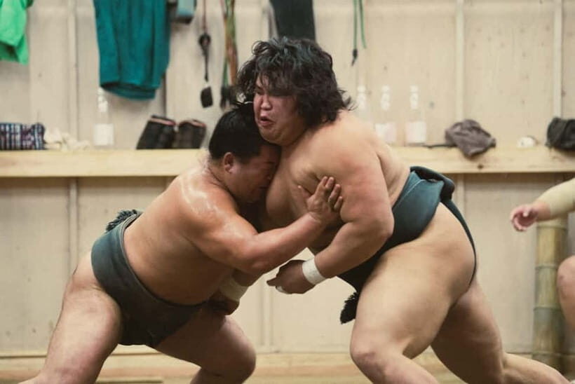 Tokyo Sumo Morning Practice: Witness the Life of a Wrestler - Key Points