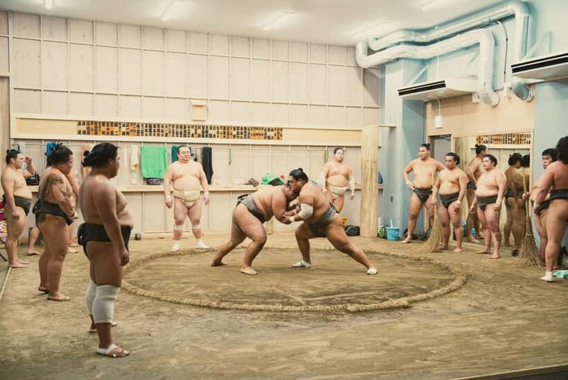 Tokyo Sumo Morning Practice: Witness the Life of a Wrestler - What Is the Tokyo Sumo Morning Practice Tour?