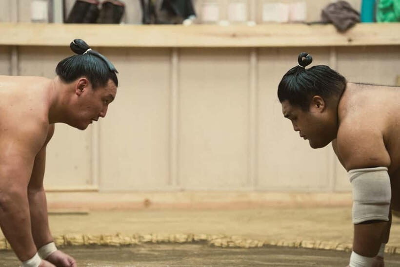 Tokyo Sumo Morning Practice: Witness the Life of a Wrestler - FAQ