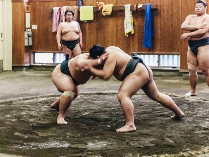 Tokyo: Sumo Morning Training Visit - Discover Japan’s Sumo with a Morning Training Visit
