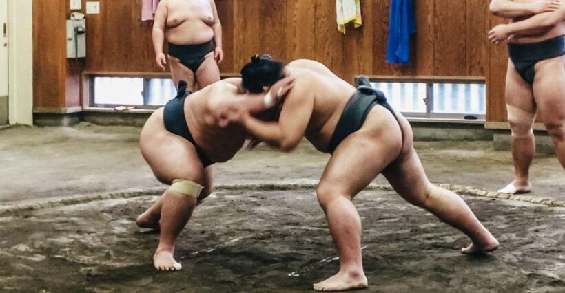 Tokyo: Sumo Morning Training Visit - Pricing & Value Analysis