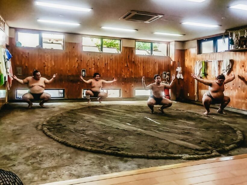 Tokyo: Sumo Morning Training Visit - The Sum Up: Is It Worth It?