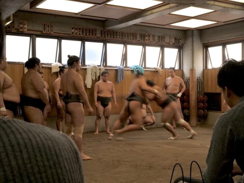 Tokyo: Sumo Practice Tour With Ring-Side Seat and Photoshoot - Participant Requirements