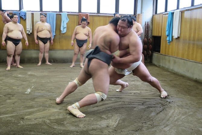 Tokyo Sumo Tournament Chair Seat Ticket with Entrance Assistant - Practical Tips for Travelers